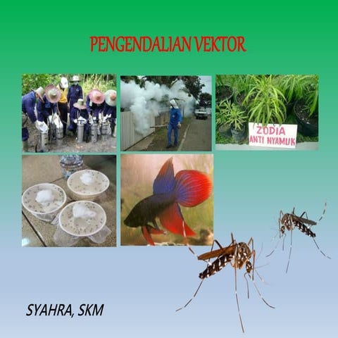 Teknik Pengendalian Vektor DBD dan Malaria_ Mamuju Juli 2023ppt.pptx
