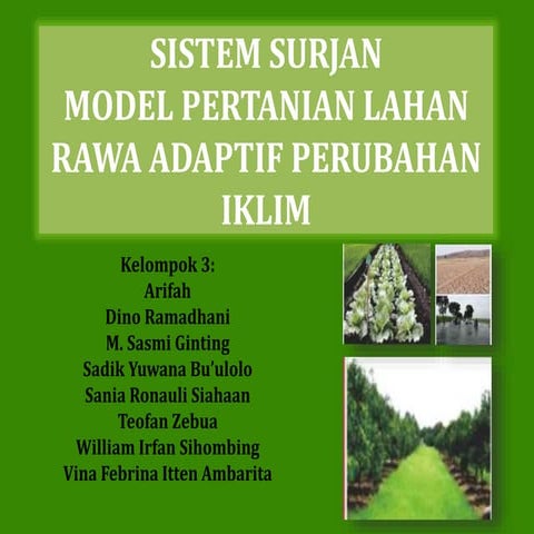 Teknologi pengembangan sistem surjan | PPTX