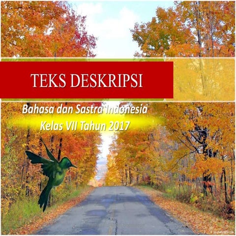 Vania451391 presentations