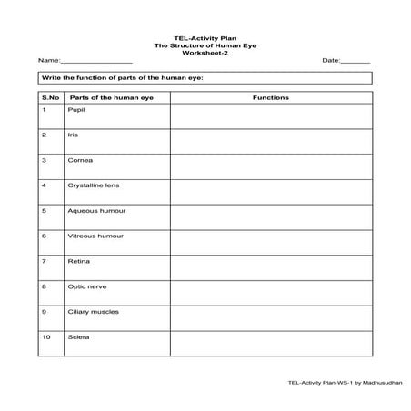 Tel activity plan-human eye-worksheet2 | PDF