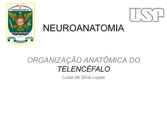 Medresumos 2016 Neuroanatomia 09 Estrutura E Funções Do Cerebelo Pdf