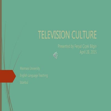 Television Culture | PPTX