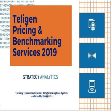 Teligen Services 2019 presentation | PPTX