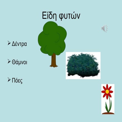 Tα είδη φυτών | PPT