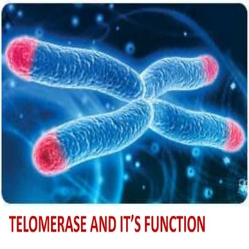telomerase and function.pptx