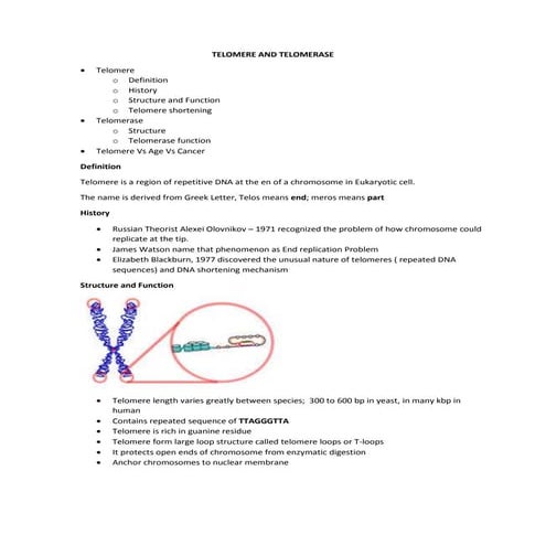 TELOMERE AND TELOMERASE.pdf