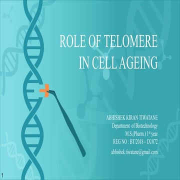 ROLE OF TELOMERE AND IN CELL AGEING | PPTX