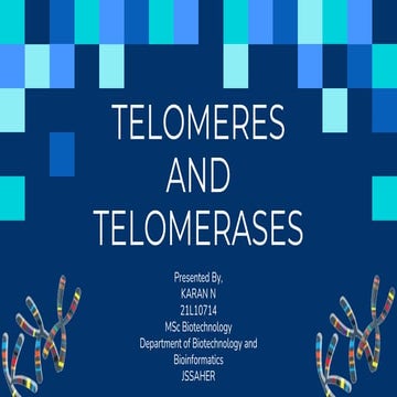 Telomeres and Telomerase | PPTX