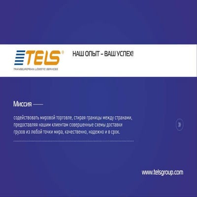 Презентация TELS | PPTX