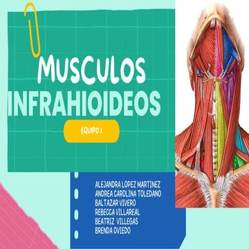 Tema . Musculos Infrahioideos.pdf