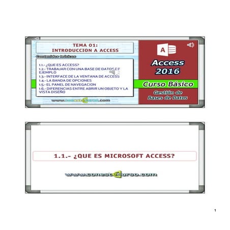 Ms Access 2016-Curso Básico-Tema01 Resumen Visual | PDF