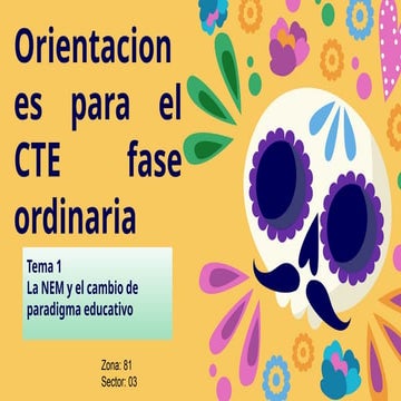 ORIENTACIONES PARA EL CTE FASE ORDINARIA tema 1.pptx