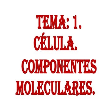 TEMA 1 - 3 COMPONENTES MOLECULARES.pptx