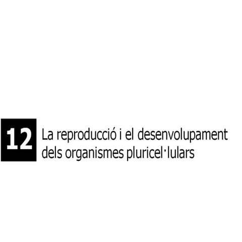 UD.12.-Reproducció animal.pdf sisisisisi | PDF