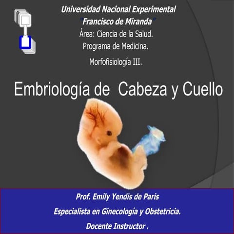 Arcos, Hendiduras Y Bolsas FaríNgeas | PPT