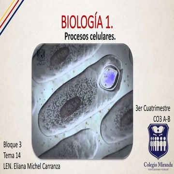 Procesos celulares. | PPTX