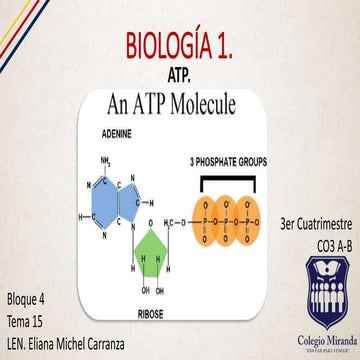 ATP | PPTX