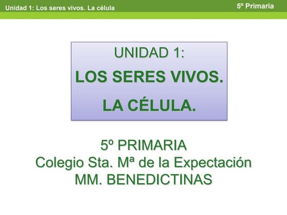 Organizacion interna de los seres vivos, celula, tejidos, organos y ...