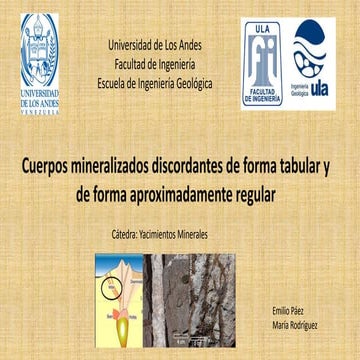 Cuerpos mineralizados discordantes de forma tabular y de forma ...