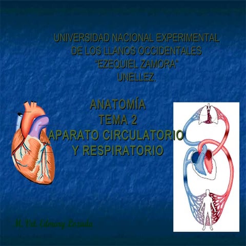 Tema 2 anatomia | PPS