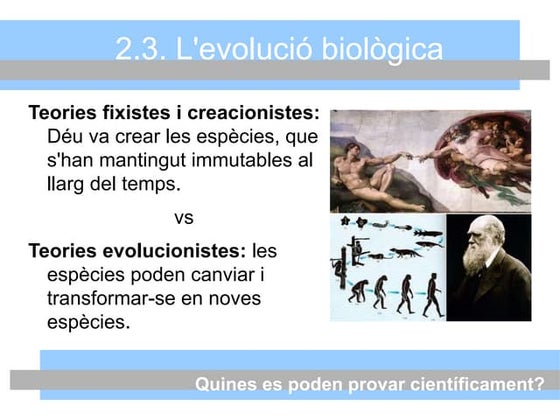 Els fòssils i l’evolució | PPT