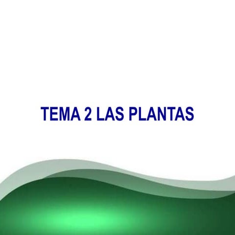 Tema 2 las plantas | PPT