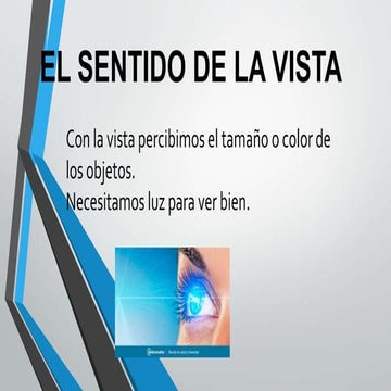 EL SENTIDO DE LA VISTA. | PPTX | Eye and Vision Conditions | Diseases ...