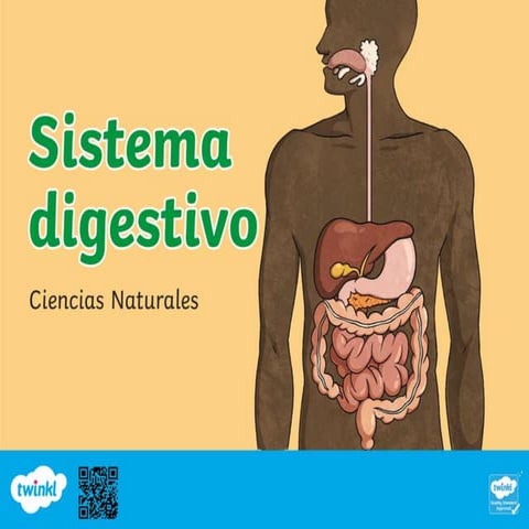 Tema 2 Sistema-digestivo para niiños de | PPTX