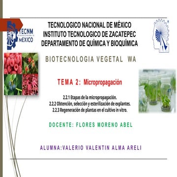 TEMA2_Valerio Alma.pptx hjbhbhbjbhbbjhbjbjhbjhbjhb | PPTX
