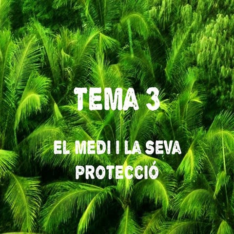 Tema 3 EL MEDI I LA SEVA PROTECCIÓ | PPTX