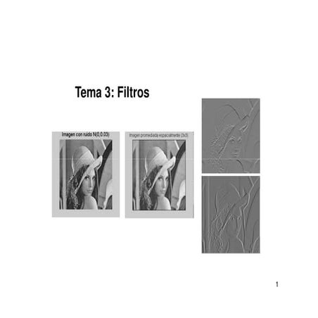tema 3-1 Filtros.pdf