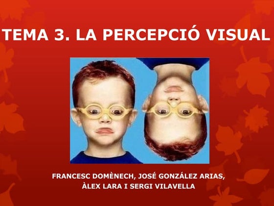Percepció Visual | PPT