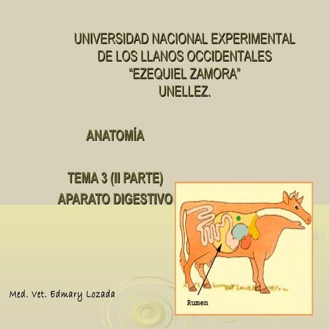 Tema 3 anatomia ii parte | PPS