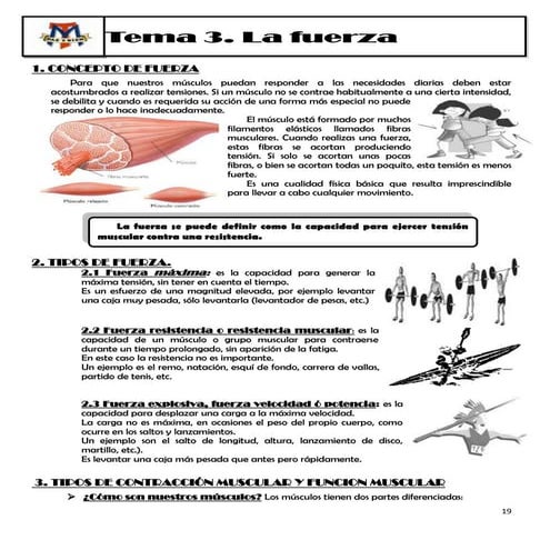 Tema 5. la fuerza | PDF