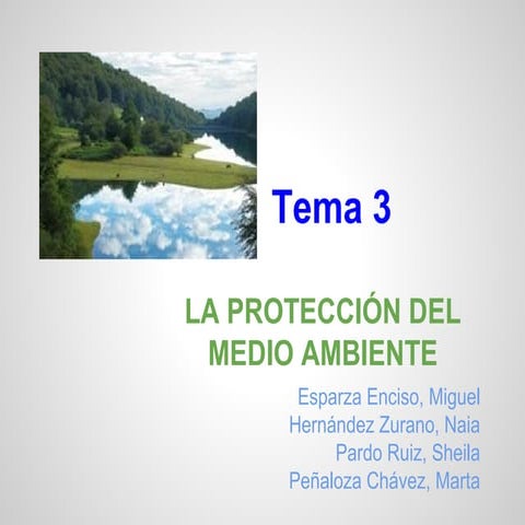 El medio ambiente | PPT