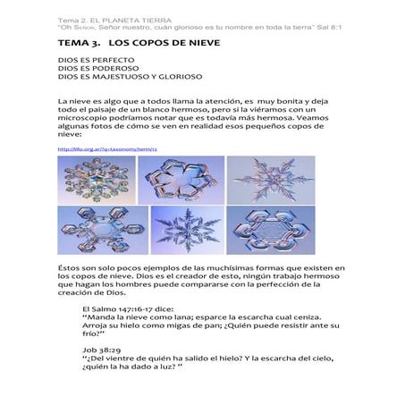 Tema 3 los copos de nieve | PDF