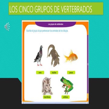 LOS CINCO GRUPOS DE VERTEBRADOS. | PPTX