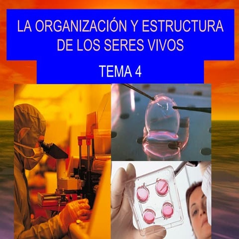 Tema 4 la organización y estructura de los seres vivos | PPT