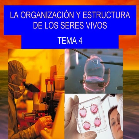 Tema 4 la organización y estructura de los seres vivos | PPT