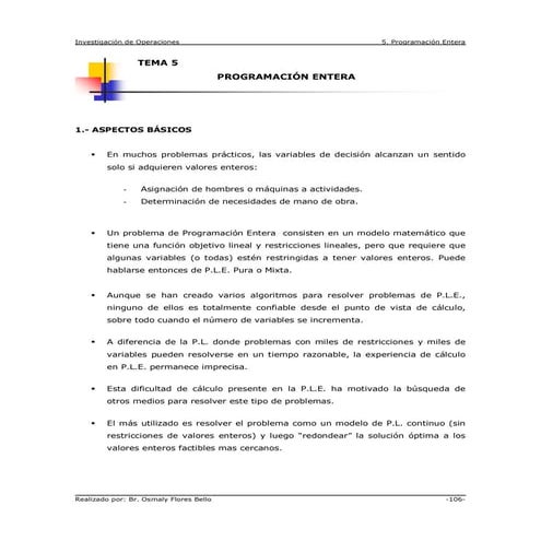 Tema 5. Programación entera | PDF