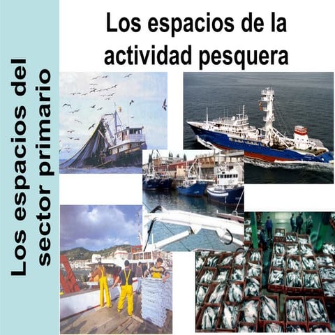 Tema 5 Los espacios de la actividad pesquera | PPT