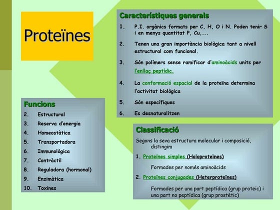 Les proteines. Biología 2n de batxillerat. | PDF