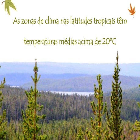Clima tropical humido | DOCX
