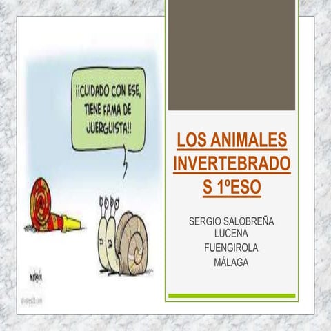 Tema 6 animales invertebrados | PPTX