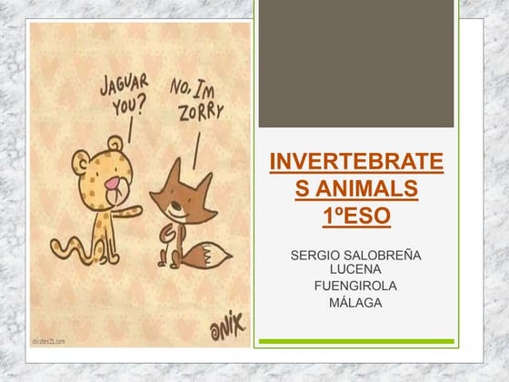 Animal kingdom class 11 | PPT