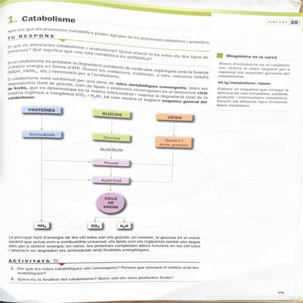 Tema 7: La cèl·lula eucariota, embolcalls cel·lulars i nucli | PDF