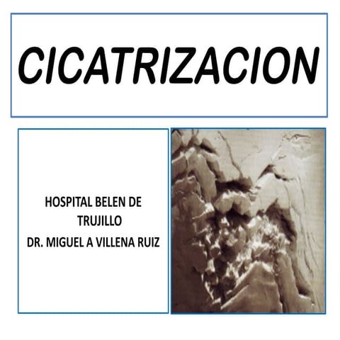 Comprehensive Overview of Wound Healing and Scar Formation Processes | PDF