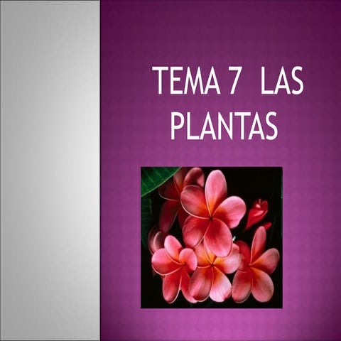 Tema 7. Las plantas | PPT
