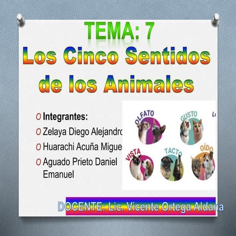 TEMA 7 LOS CINCO SENTIDOS DE LOS ANIMALES.pptx