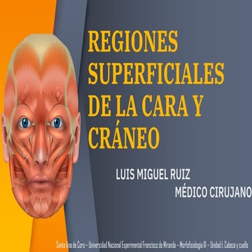 REGION GENIANA | PPTX